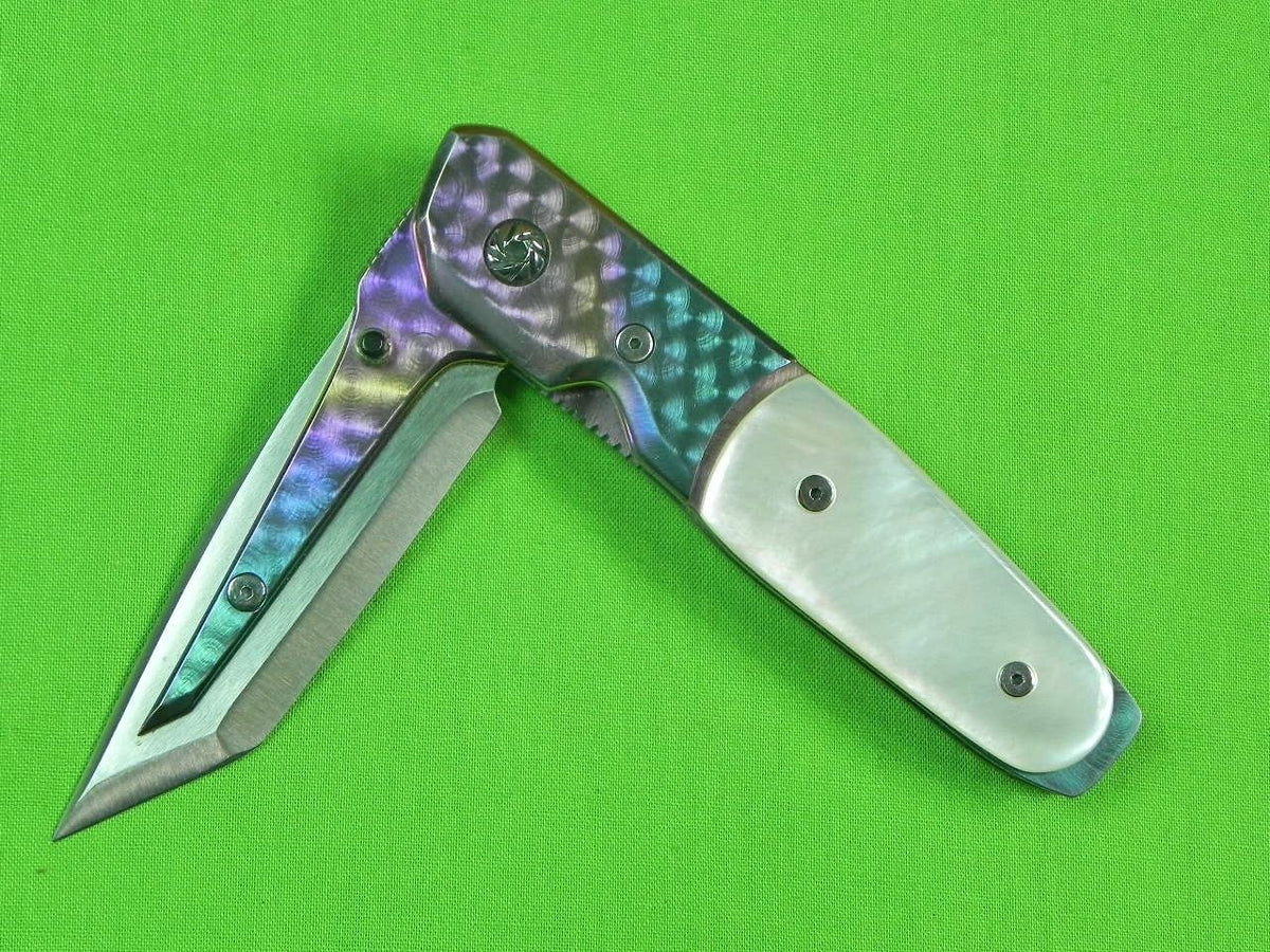 Custom Hand Made MIKE FRANKLIN HAWG Atack Folding Pocket Knife ...